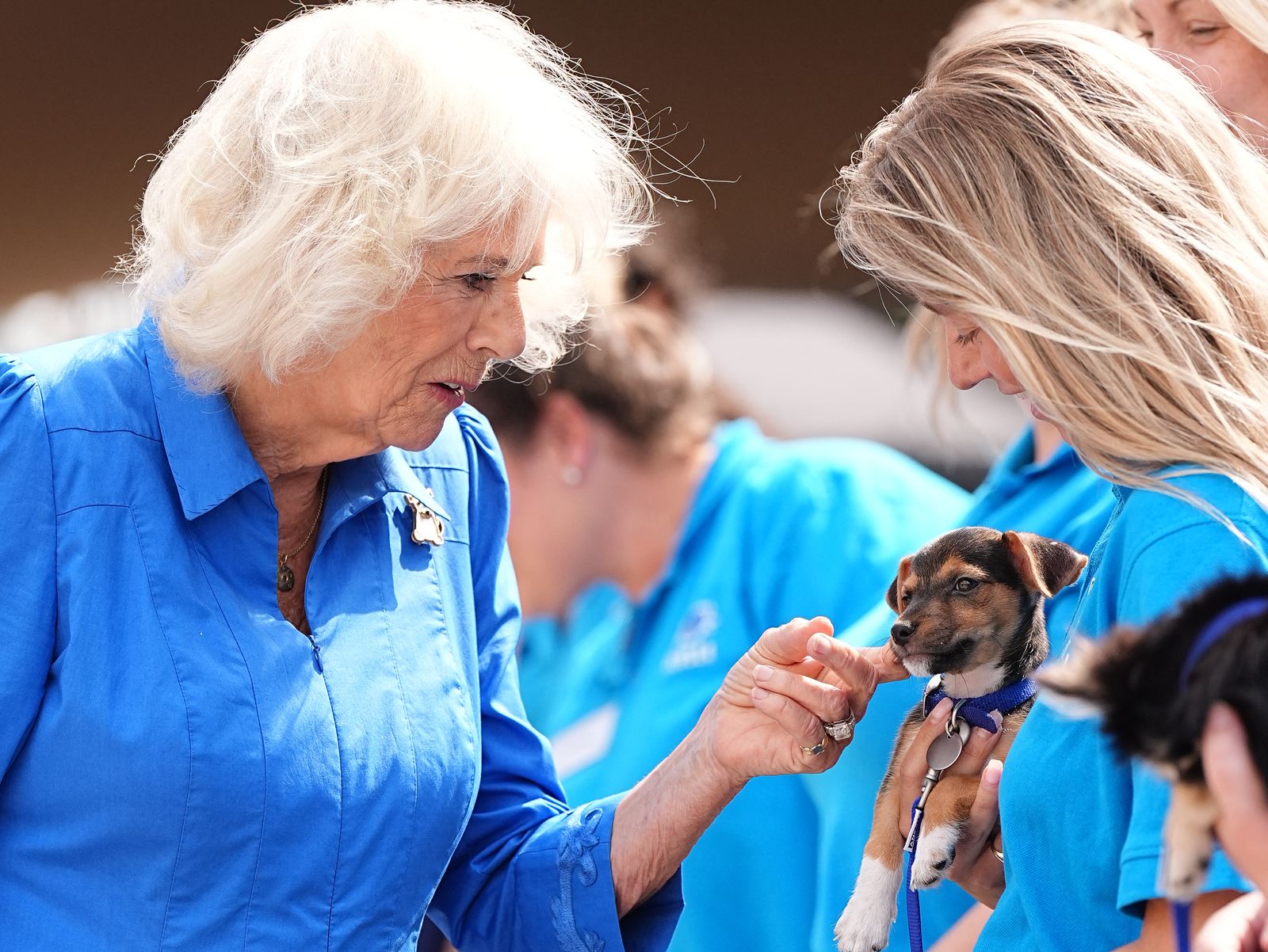 Queen Camilla's Puppy Moley Poses for the Most Adorable Pic | Marie Claire