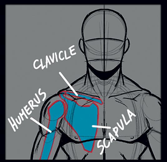 How to depict a dislocated shoulder | Creative Bloq
