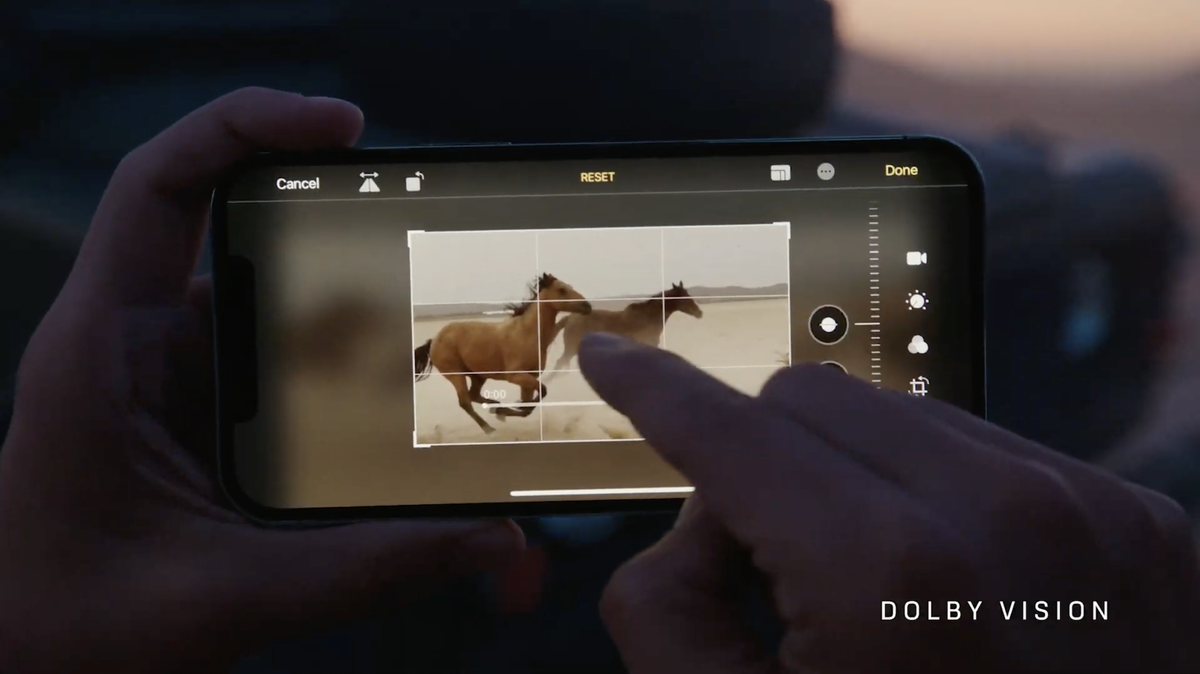 iPhone 12 mini vs iPhone 12 vs iPhone 12 Pro vs iPhone 12 Pro Max: What ...