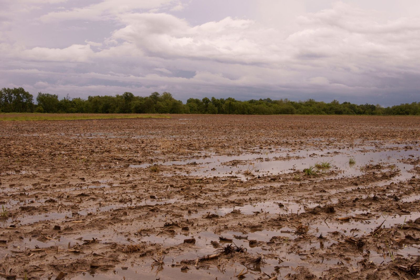 Leaching In Plants And Soil - What Is Leaching | Gardening Know How