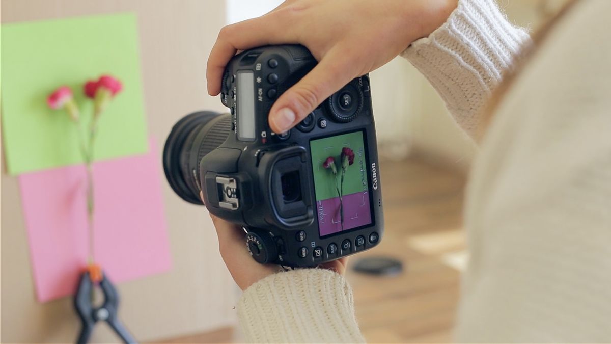 Home photography idea: Put color theory into practice | Digital Camera ...