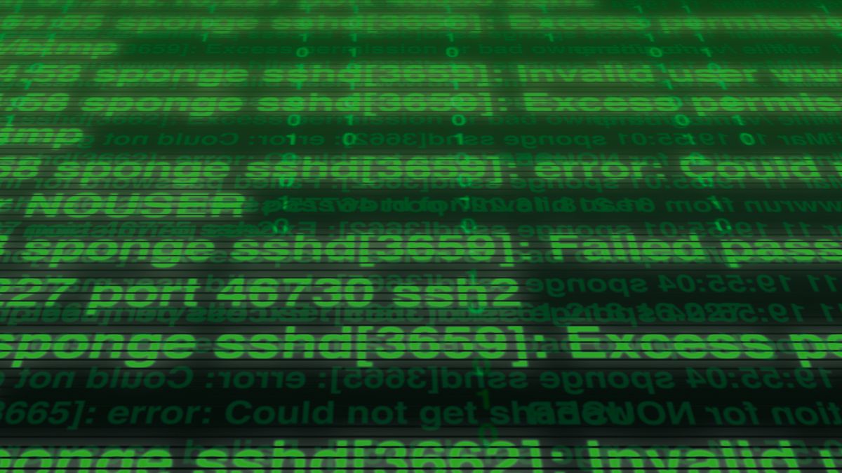 10 viral camera news stories of 2020 | Digital Camera World