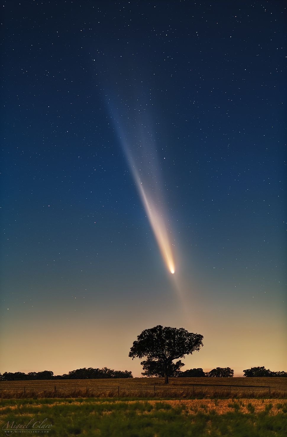 Astrophotographer captures comet Tsuchinshan-ATLAS growing an anti-tail ...