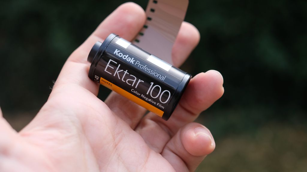 Kodak Ektar 100 film review: demands precision, rewards excellence | Digital Camera World