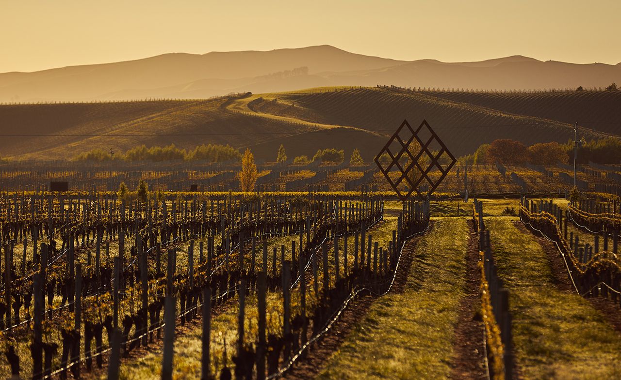 Studio Dror sculpture unveiled at Brancott Estate vineyards | Wallpaper*