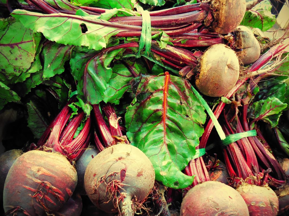 Sample images - Nikon Coolpix S5200 review - Page 4 | TechRadar