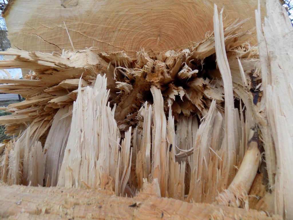 Sample images - Nikon Coolpix L330 review - Page 3 | TechRadar