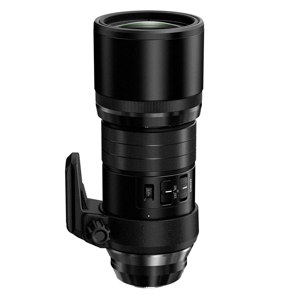 The best lenses for bird photography in 2024 | Digital Camera World