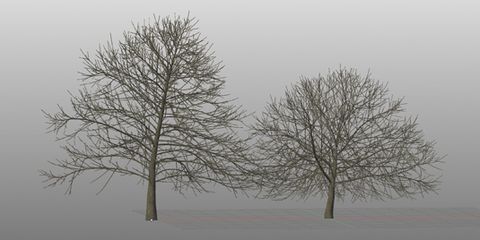 6 tips for creating realistic 3D trees | Creative Bloq