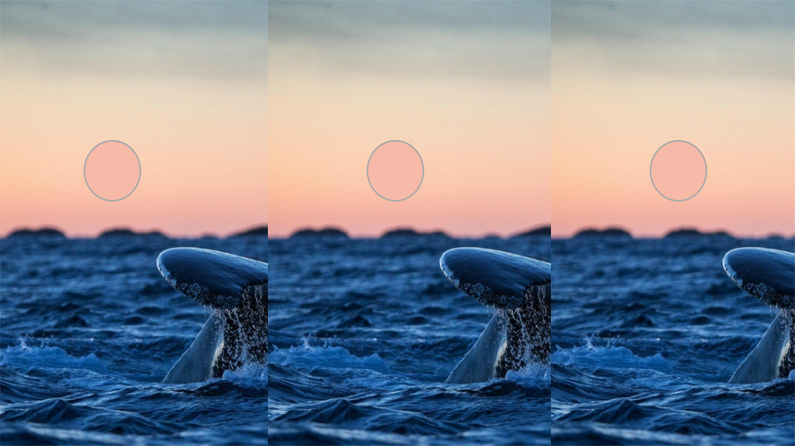 This app allows you to find your perfect colour | Creative Bloq