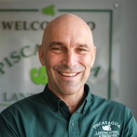 Expert tips for how to prune tree branches correctly at home