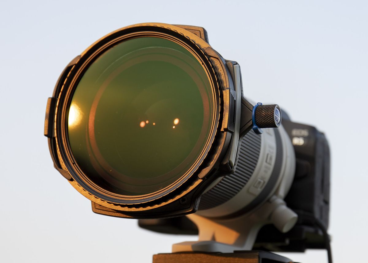 10 pro tips for tremendous treescapes: take amazing tree landscapes ...