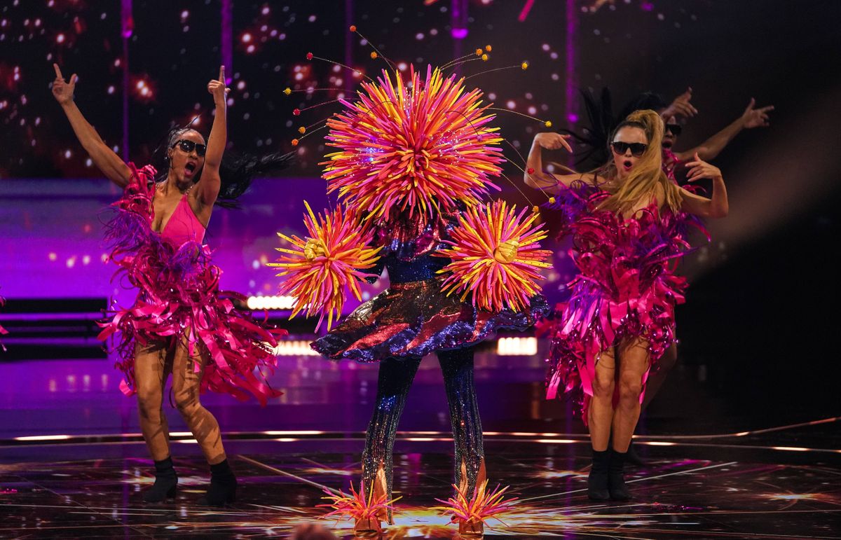 The Masked Singer fans guess Firework from hidden clue | What to Watch