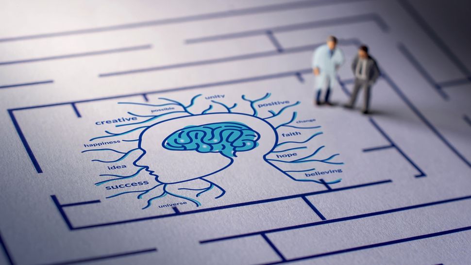 Human behavior: News, features and articles | Live Science