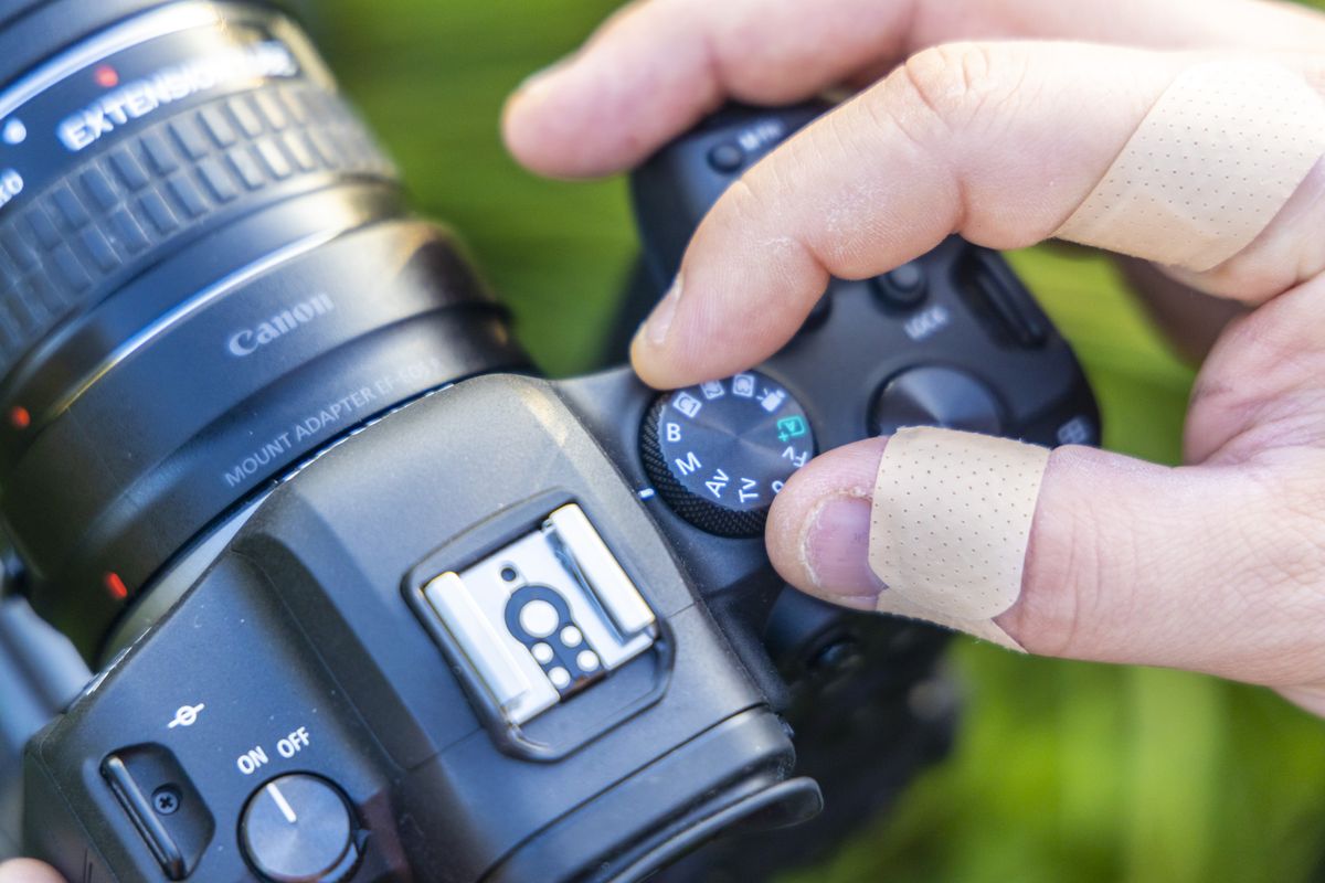 10 pro macro photography tips: Take amazing shots of nature up close ...