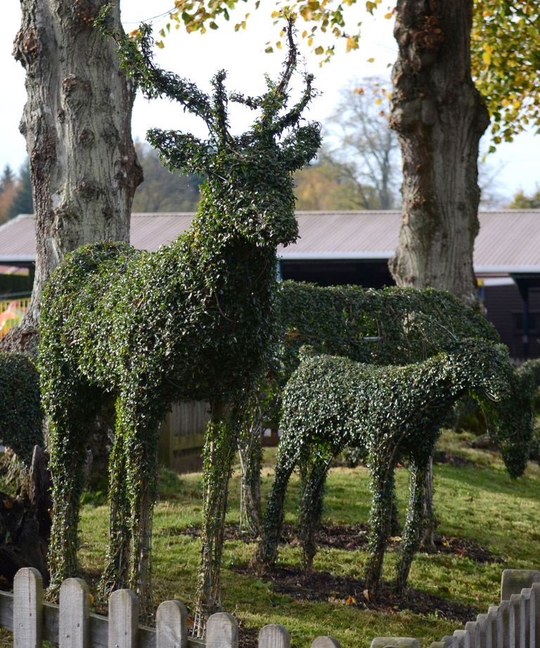 Topiary: 15 ways to use clipped evergreens in gardens | Homes and Gardens