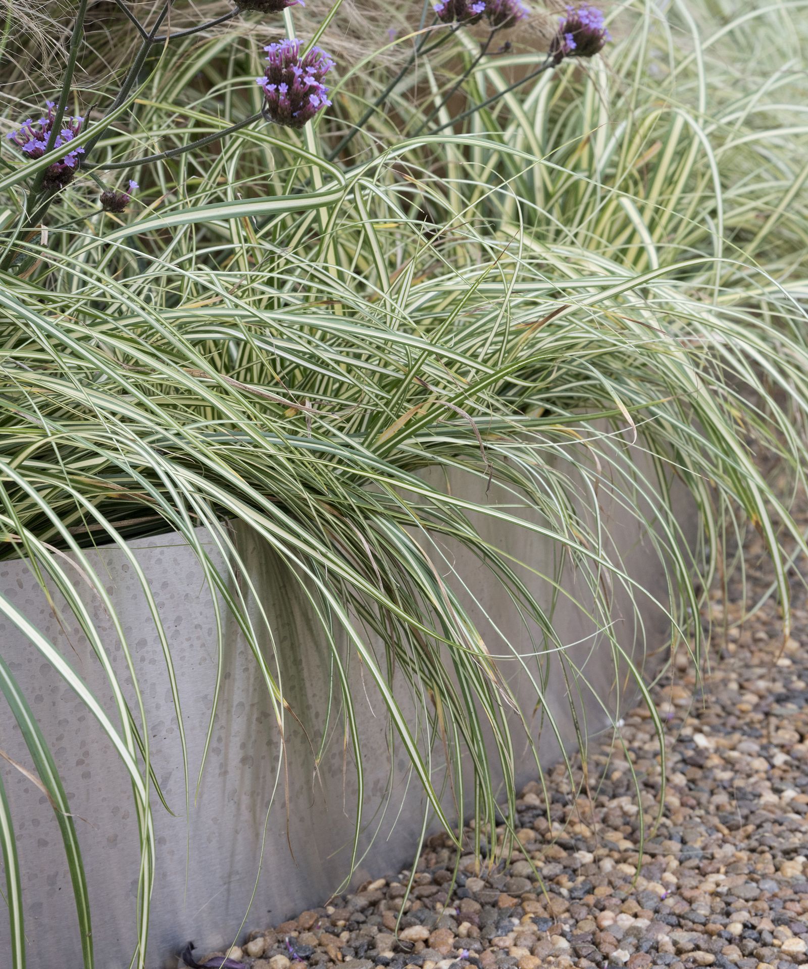 Metal garden edging ideas: 7 stylish designs | Homes and Gardens