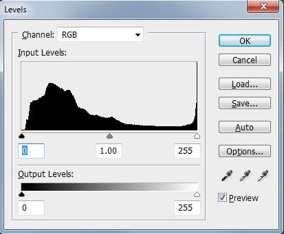 Levels: The Key To Contrast And Detail - Display Calibration 201: The ...