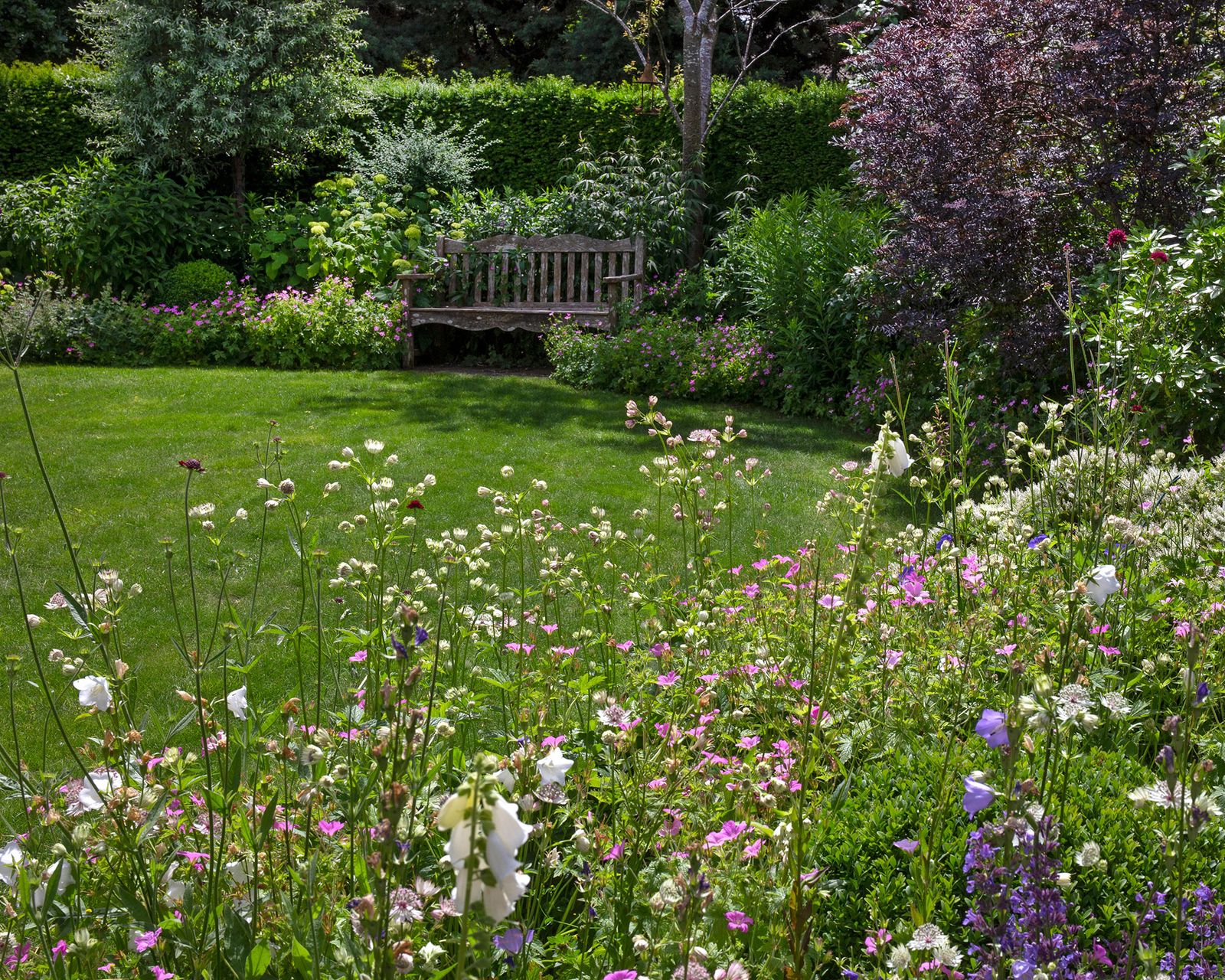 Why put hay on grass? And should you do it at all? | Gardeningetc