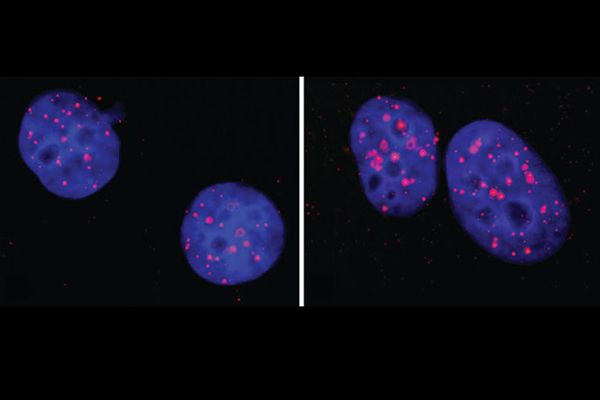 Code of Life: Photos of DNA Structures | Live Science