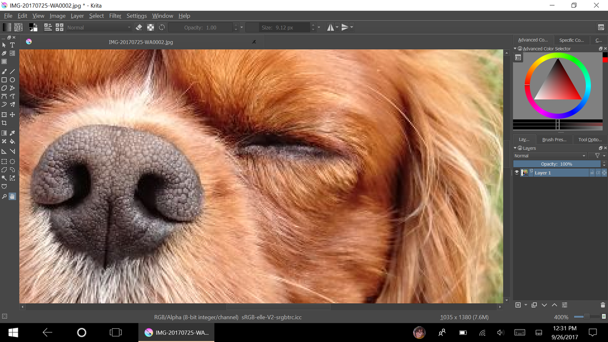 Krita for Windows 10 is a potential Paint replacement that helps you ...
