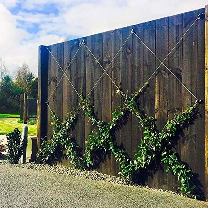 This Genius Jasmine Trellis is Our New Favorite Summer DIY | Livingetc