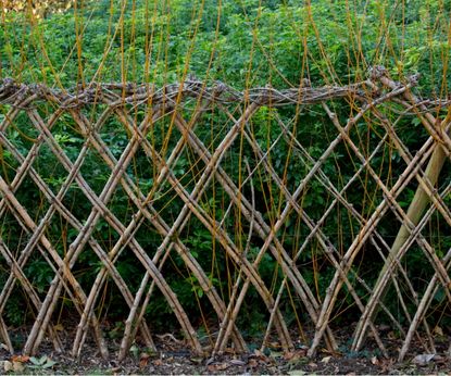 Living fence ideas: 5 ways to bring your boundary to life | Homes and ...