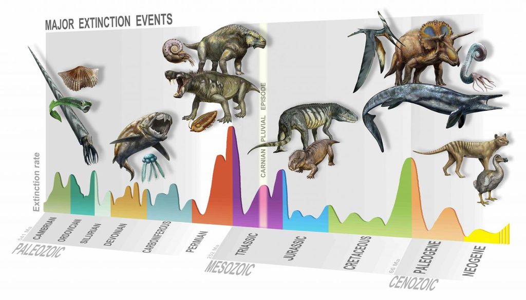 Triassic period ended with 'lost' mass extinction and a million-year ...