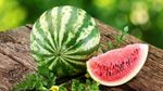 How to prune watermelon plants to grow in a small space | Homes and Gardens