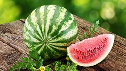 How to prune watermelon plants to grow in a small space | Homes and Gardens