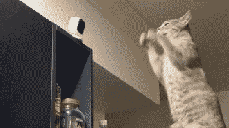 Camera News, Photos & Video | Digital Camera World