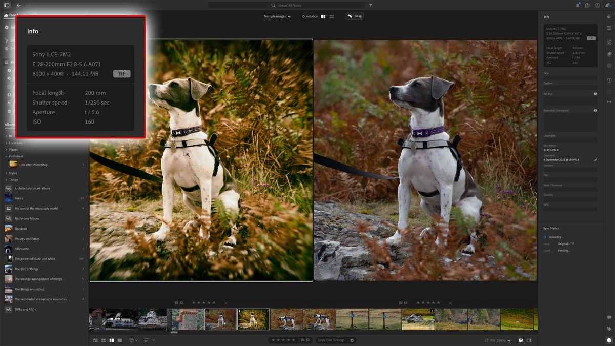 Adobe Lightroom review | Digital Camera World