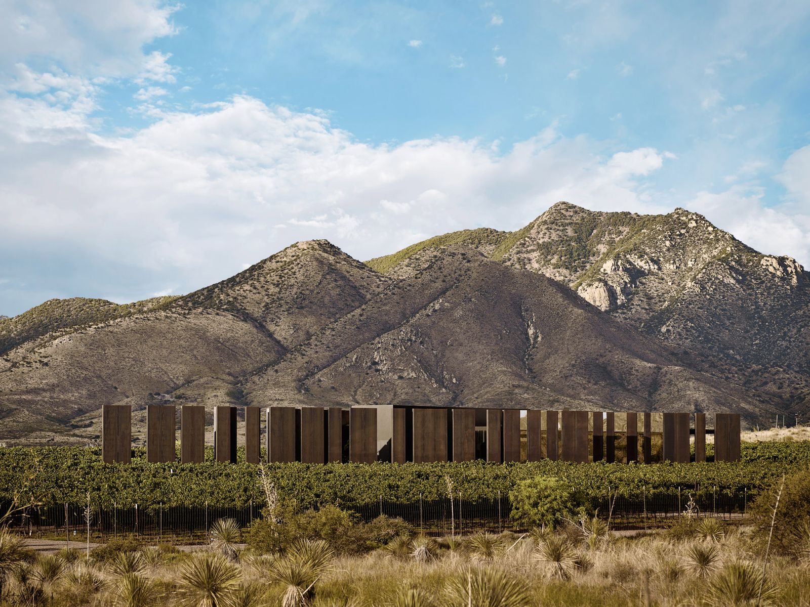 Los Milics winery in Elgin, Arizona is an architectural marvel | Wallpaper*