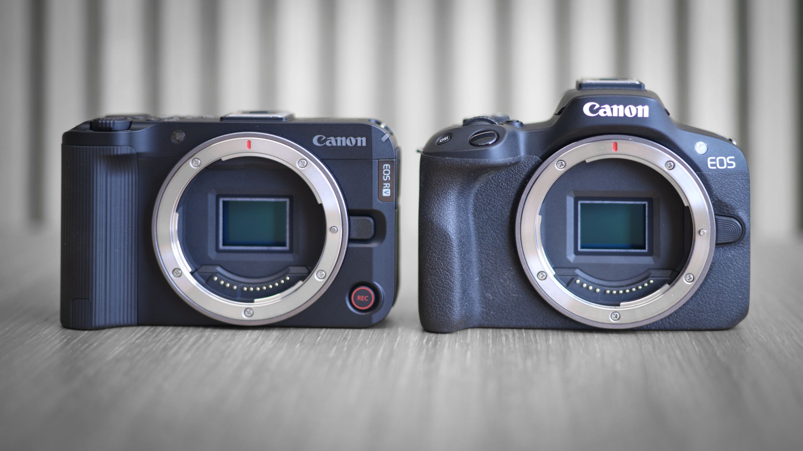 Canon EOS R50 vs R50 V: I'll bet good money that you won't guess which ...