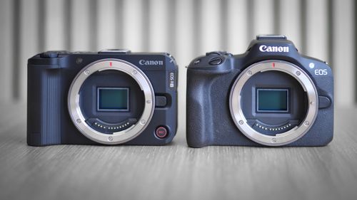 Canon R10 vs R50: the 5 key differences between Canon's APS-C cameras ...