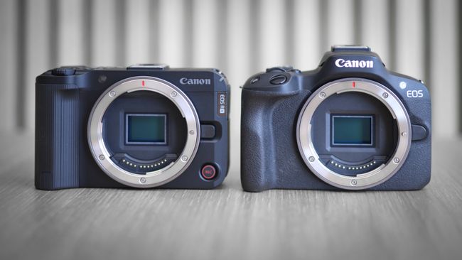 Canon R100 vs R50: which Canon EOS RF-S mirrorless camera is best for ...