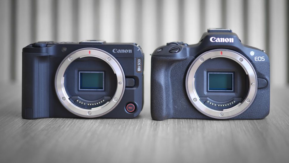 Canon EOS R50 vs R50 V: I'll bet good money that you won't guess which ...