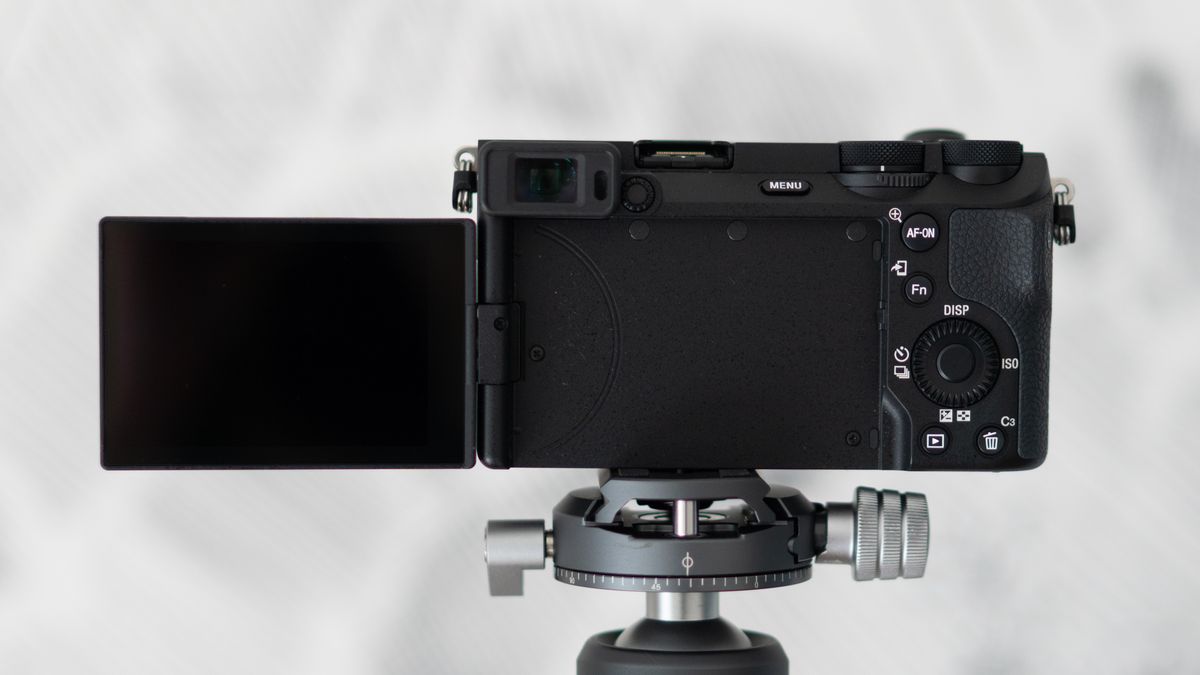 Sony A6700 review | Space