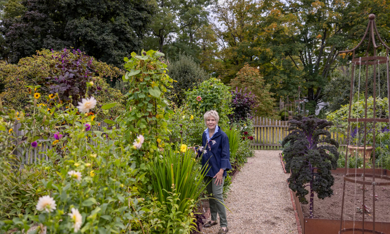 Long garden ideas: 10 rules for a long, narrow plot | Homes and Gardens