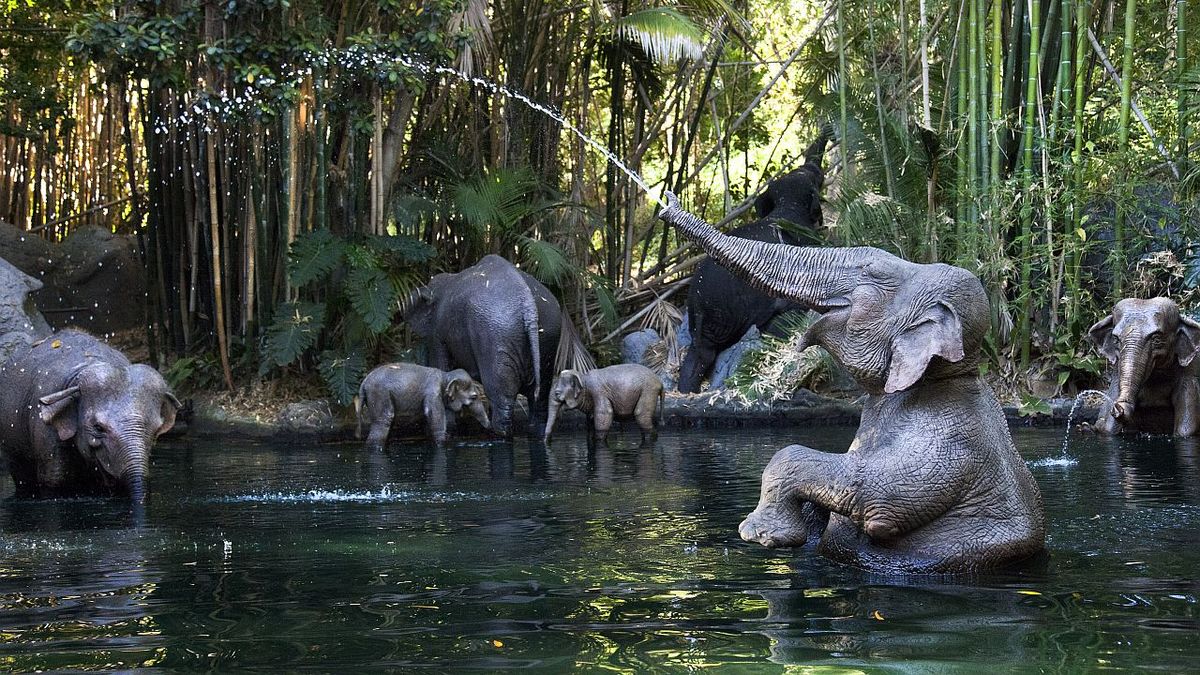 The Story Behind How Disneyland's Serious Jungle Cruise Ride Became ...