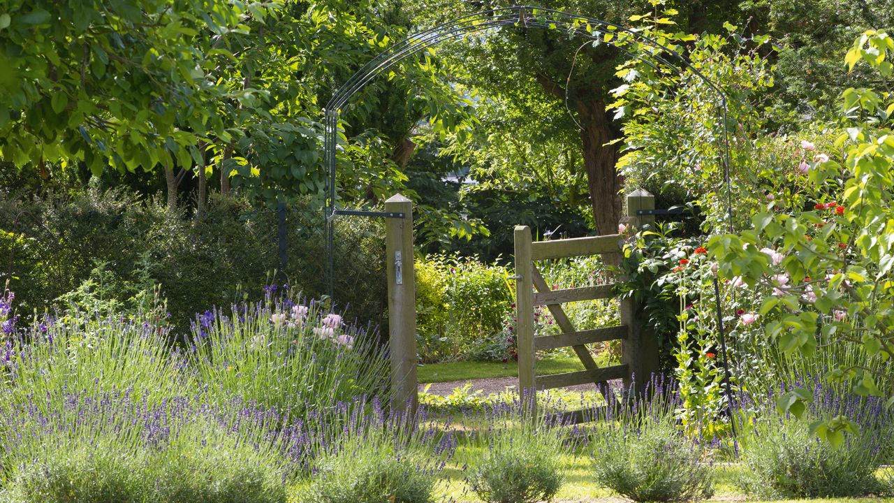 Real garden: a garden of rooms around a Victorian Villa | Real Homes