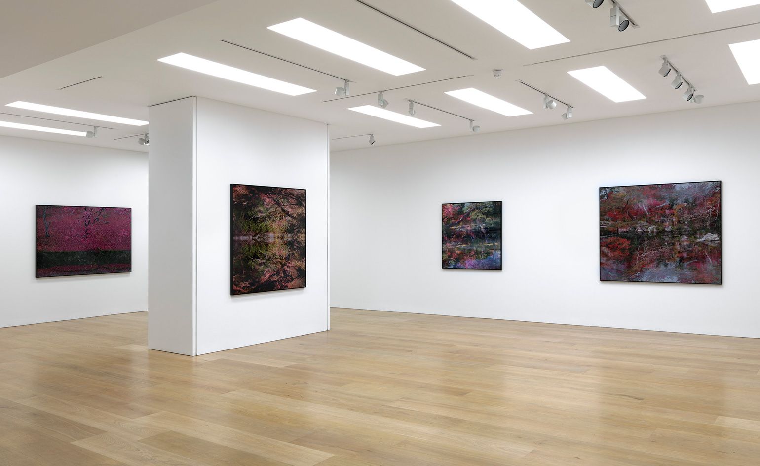 Israeli photographer Ori Gersht dives into Kyoto's gardens | Wallpaper