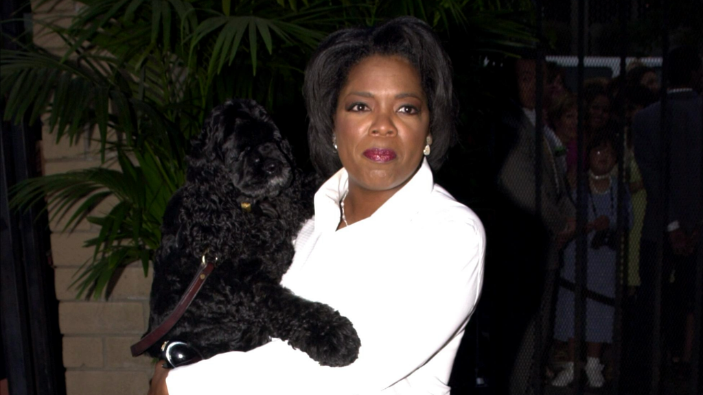 Oprah's dogs will inherit a $30 million fortune - here's why | PetsRadar