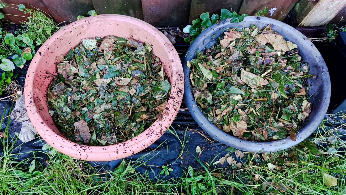 How to mulch leaves: 5 steps for organic lawn care | Top Ten Reviews