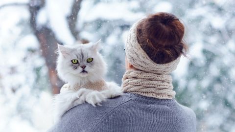 Do cats get cold? How cold is too cold for cats in winter | PetsRadar