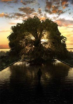 The Fountain Movie Tree