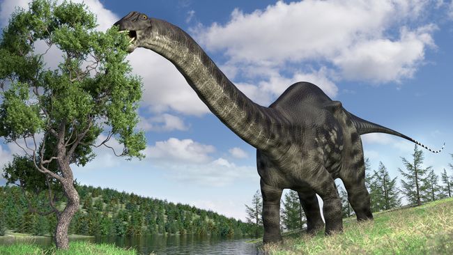 Why was the name 'Brontosaurus' brought back from the dead? | Live Science