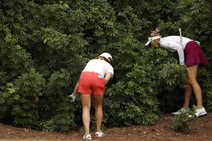 Golf Rules: Lost Ball - What to do when you think you've lost a ball ...