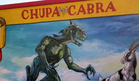 Chupacabra: Facts about the Mysterious Vampire Beast | Live Science