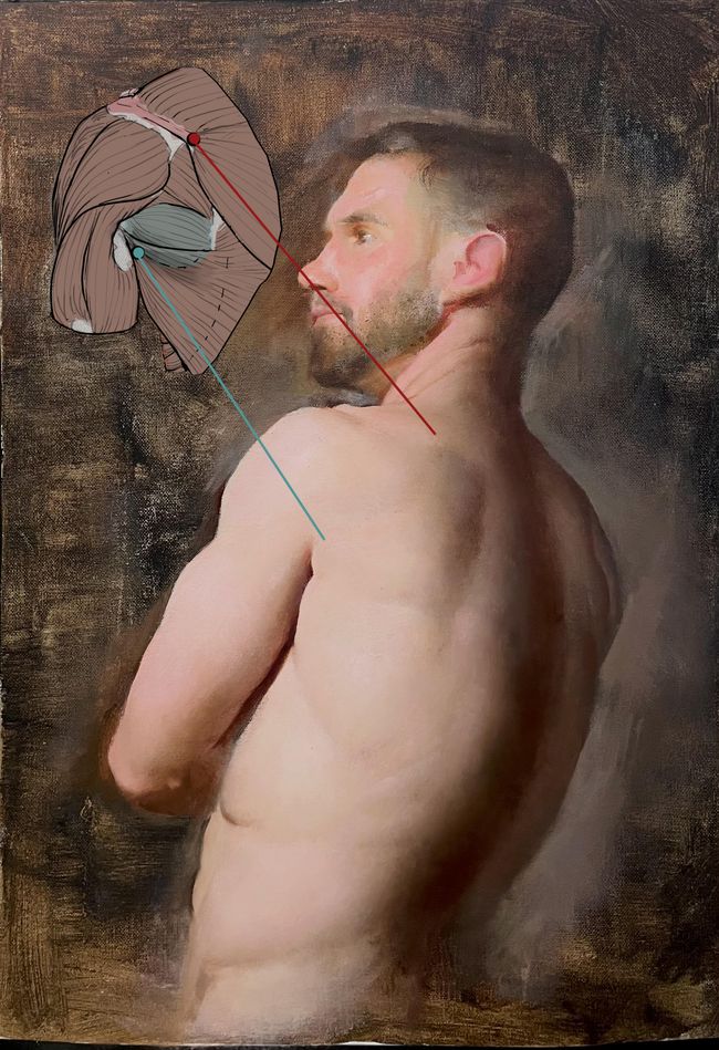 Improve your figure drawing by discovering the body's hidden structures ...